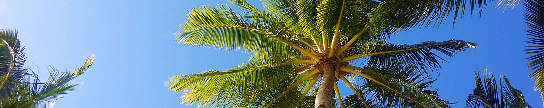 Caribbean Sample Itineraries - VidaLuxe Travel